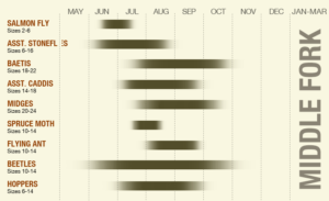 Hatch Charts - Silver Creek Outfitters